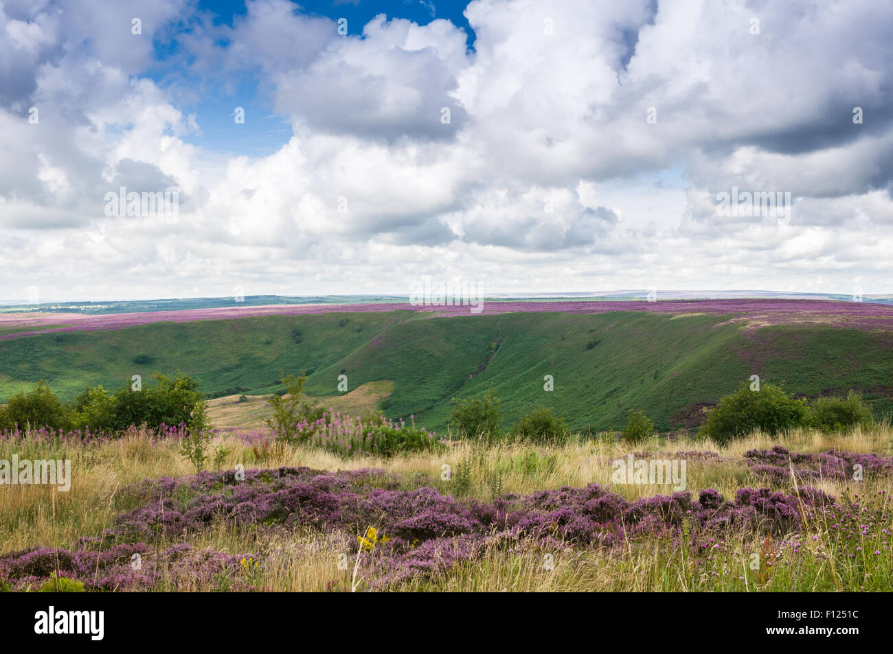 Whitby north yorkshire moors hi-res stock photography and images - Alamy