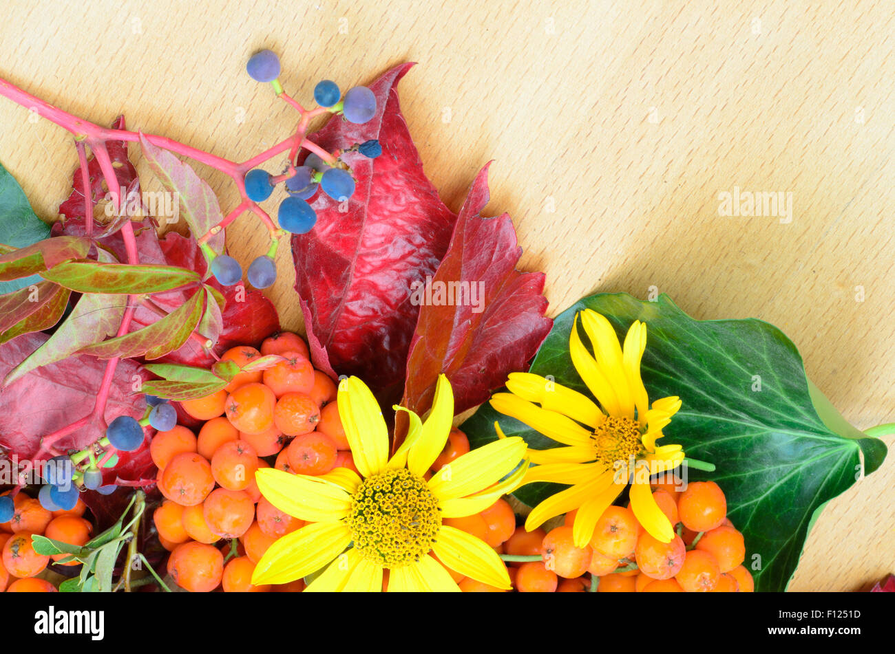 multicolored autumn plant and flowers composition Stock Photo - Alamy