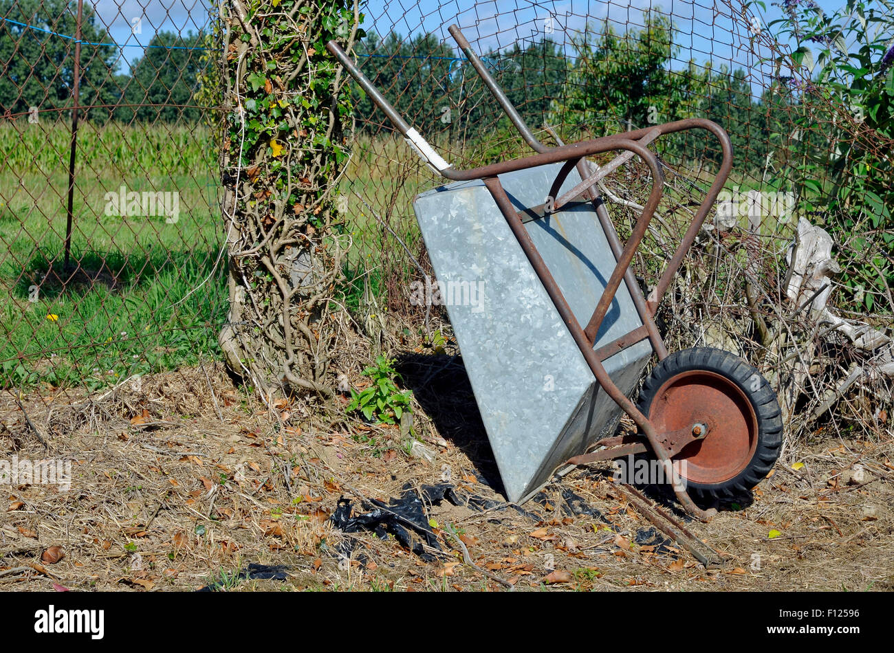 Galvanised steel wheel barrow leaning against a fence in a rural garden ...