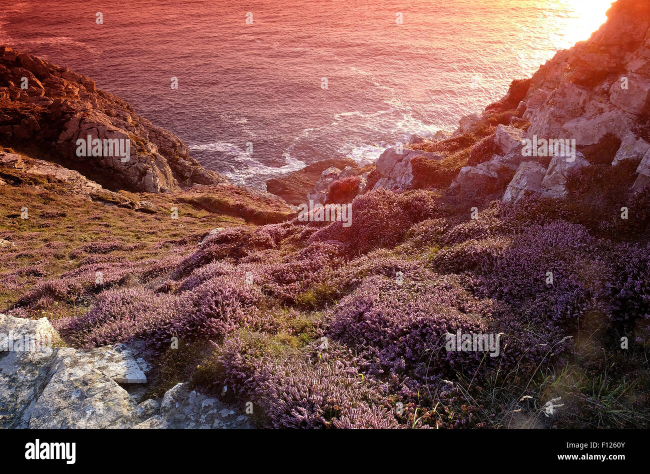 pendeen region, cornwall, england Stock Photo - Alamy