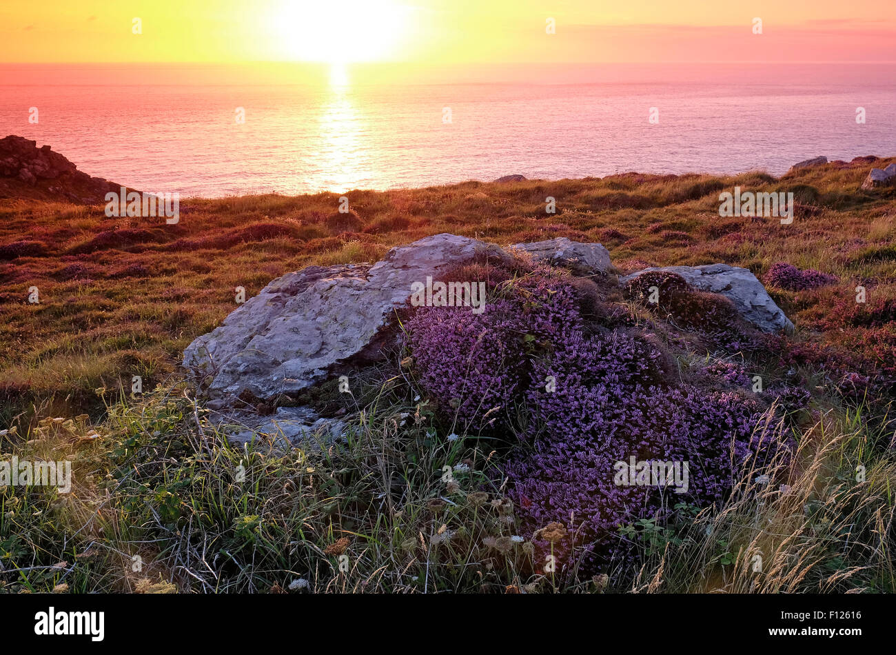 pendeen region, cornwall, england Stock Photo - Alamy