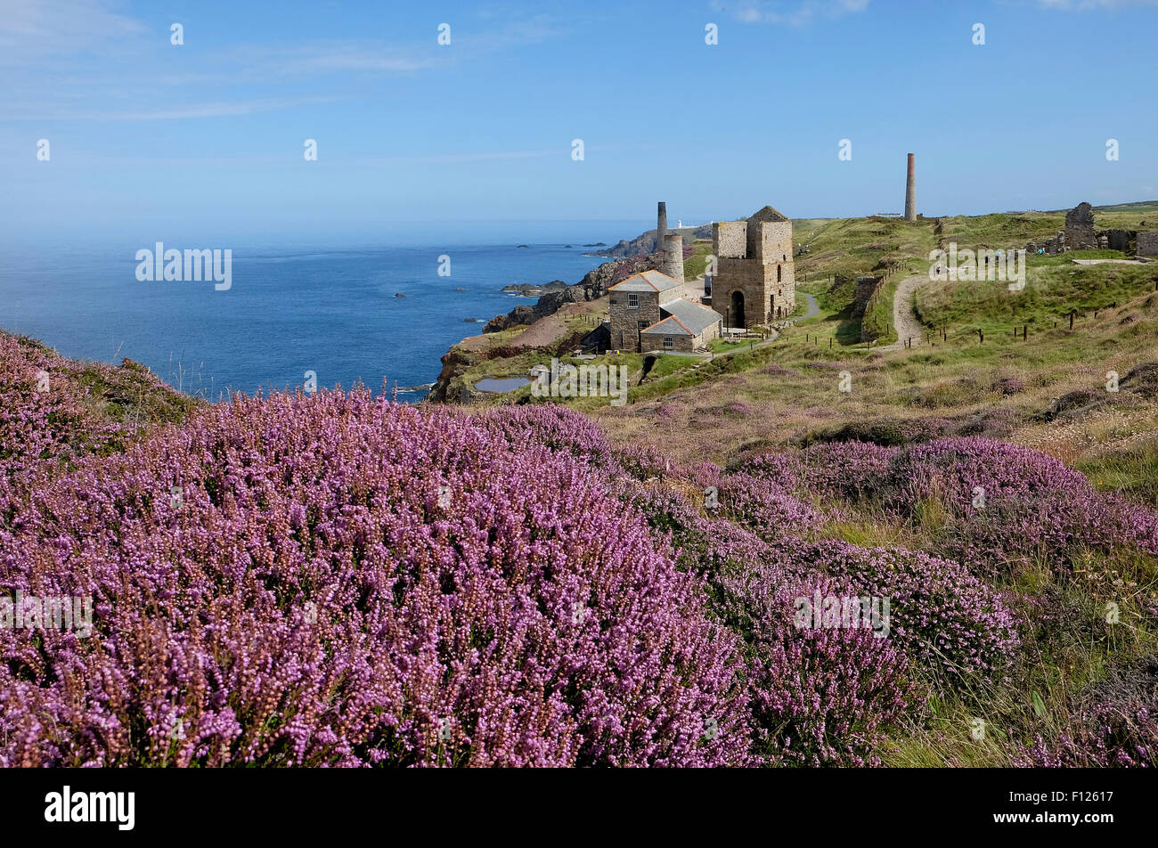levant mine, pendeen, cornwall, england Stock Photo - Alamy