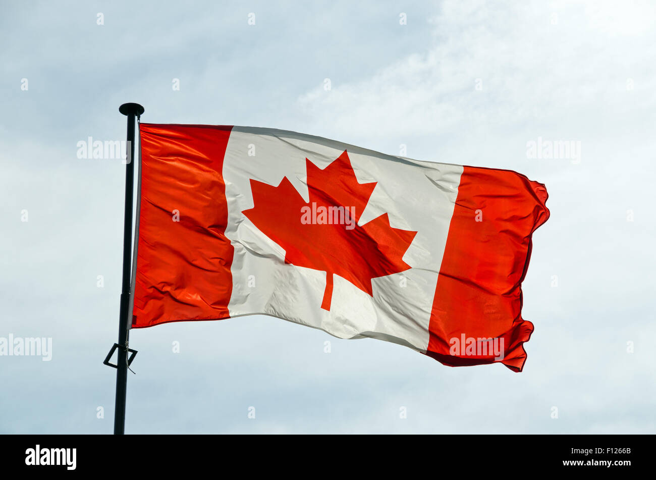 Canadian flag on the blue sky background Stock Photo - Alamy