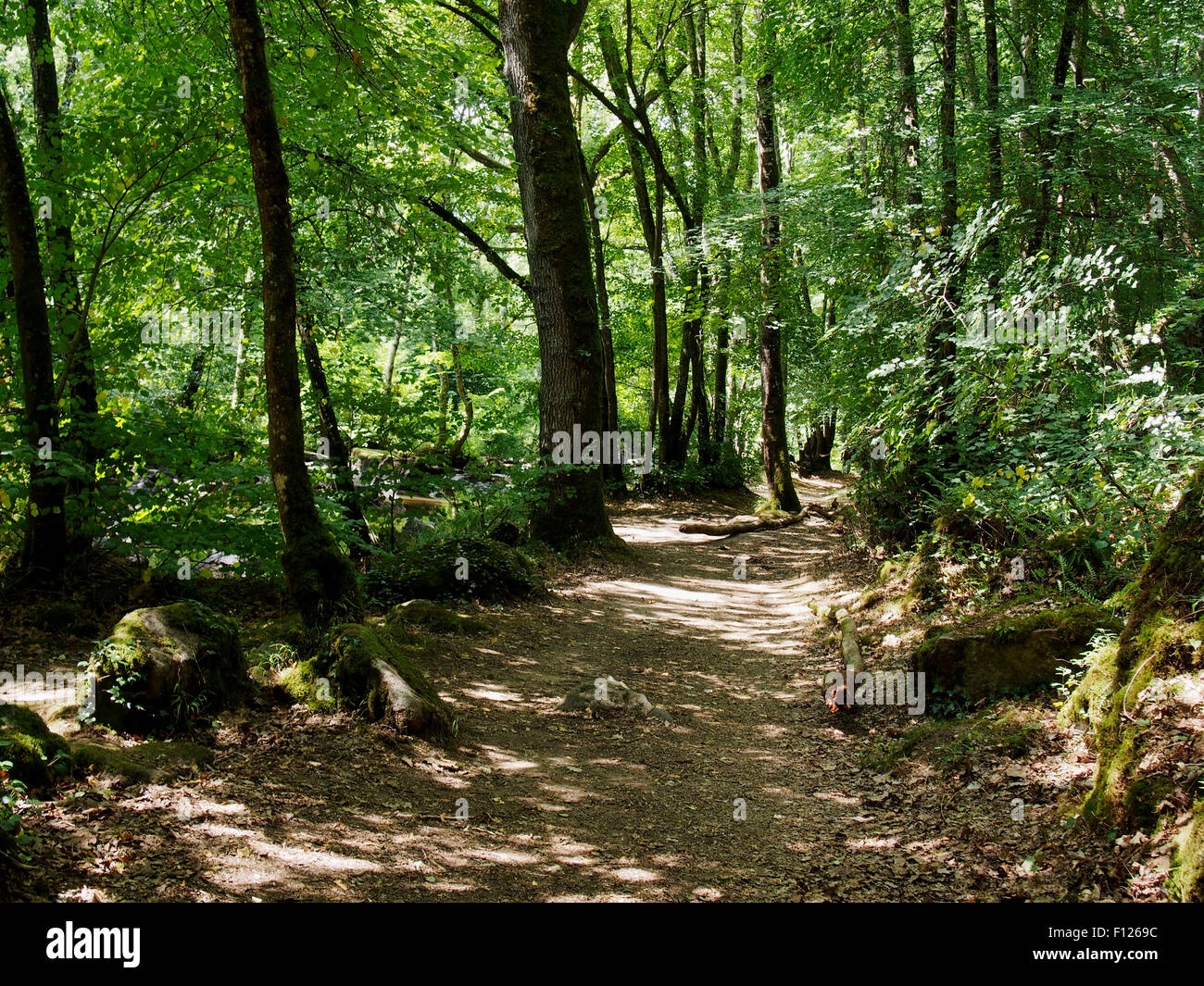 Wooded gorge of the River Rouvre below the spectacular Roche d'Oëtre ...
