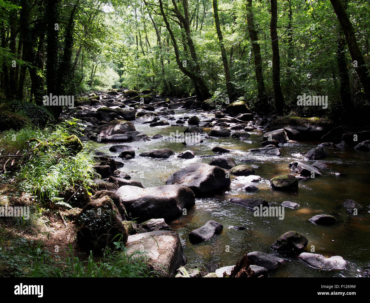 Wooded gorge of the River Rouvre below the spectacular Roche d'Oëtre ...