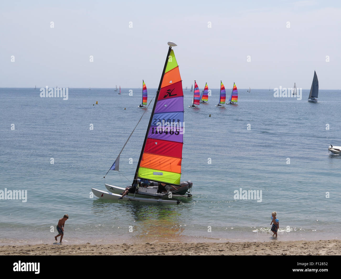 Hobi cat hi-res stock photography and images - Alamy