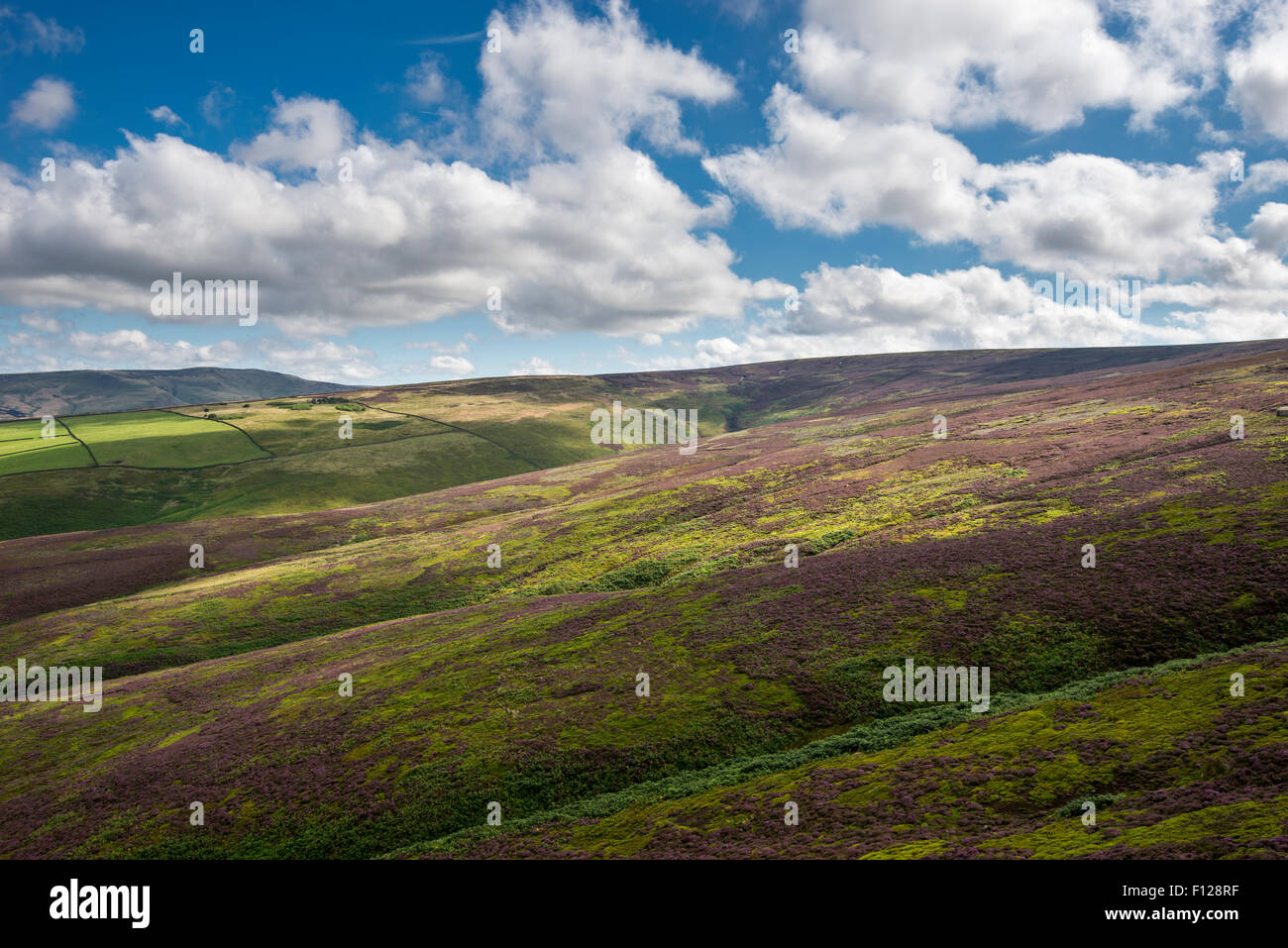 Moors covered with heather hi-res stock photography and images - Alamy