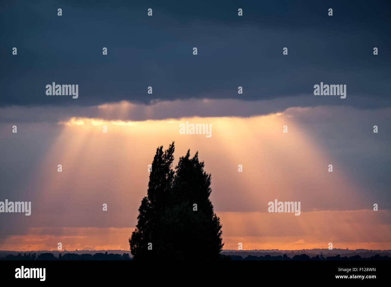 Single Tree with Sunbeams through Dark Storm Clouds in Ealing West ...
