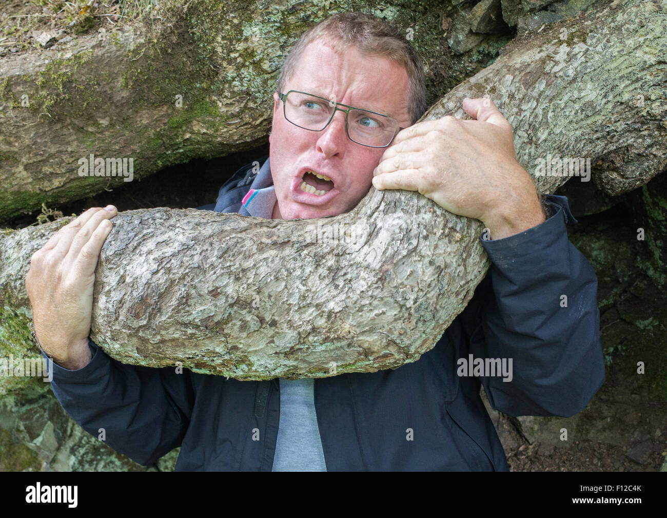 Man grabbed by tree root Stock Photo - Alamy