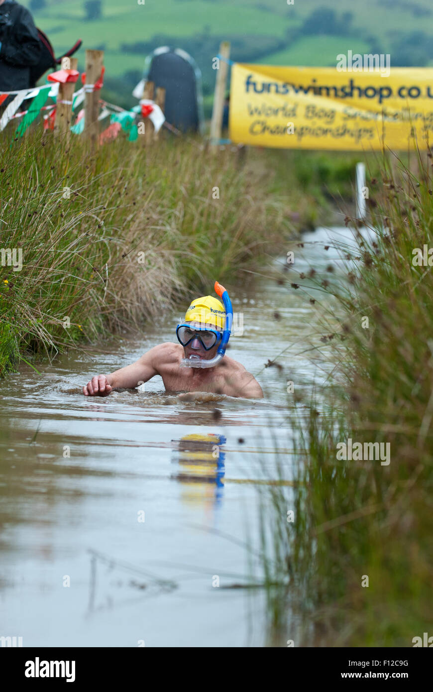 Bog Snorkeling Llanwrtyd Wells, Powys, Wales Stock Photo - Alamy