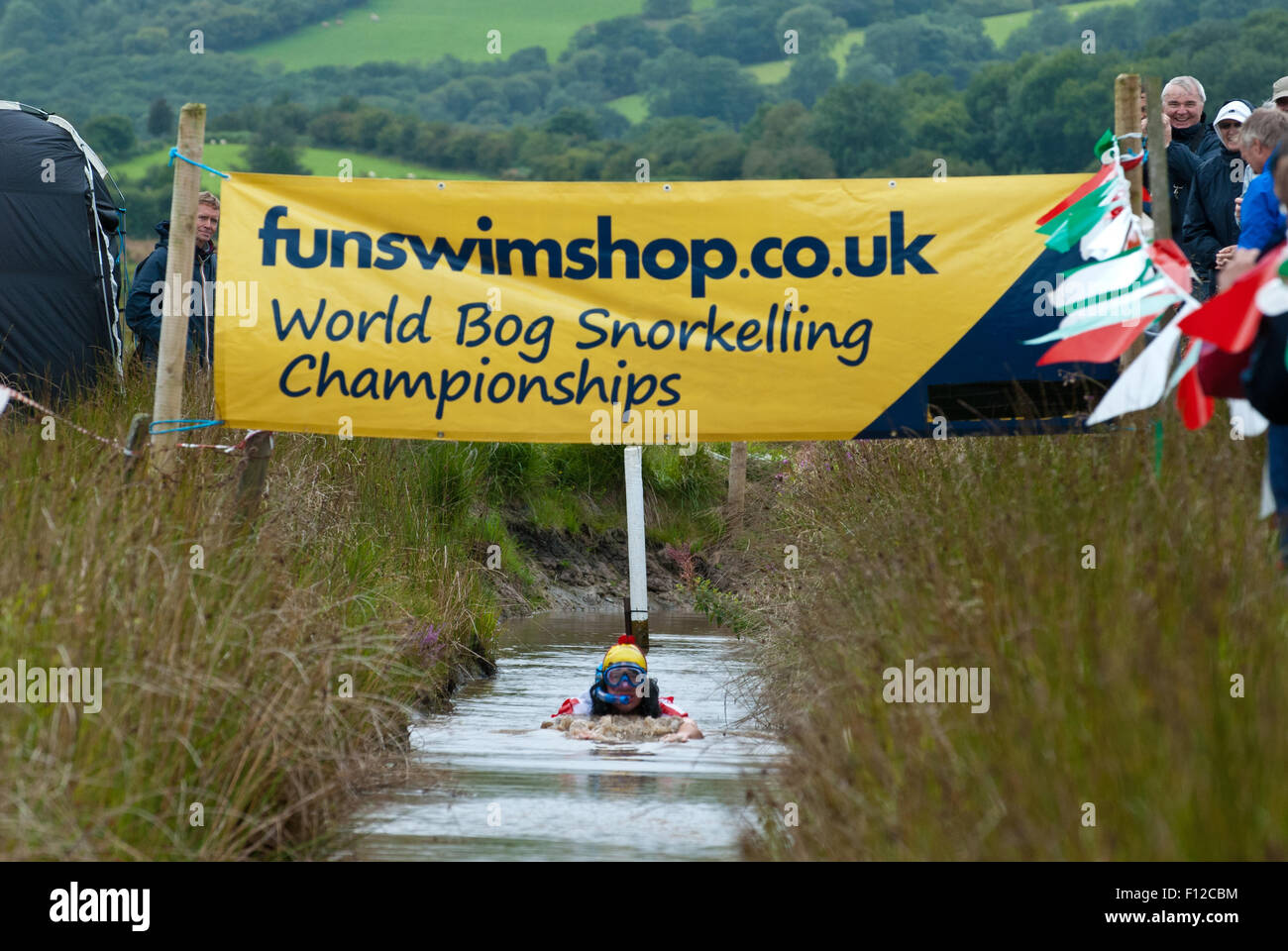 Bog Snorkeling Llanwrtyd Wells, Powys, Wales Stock Photo - Alamy