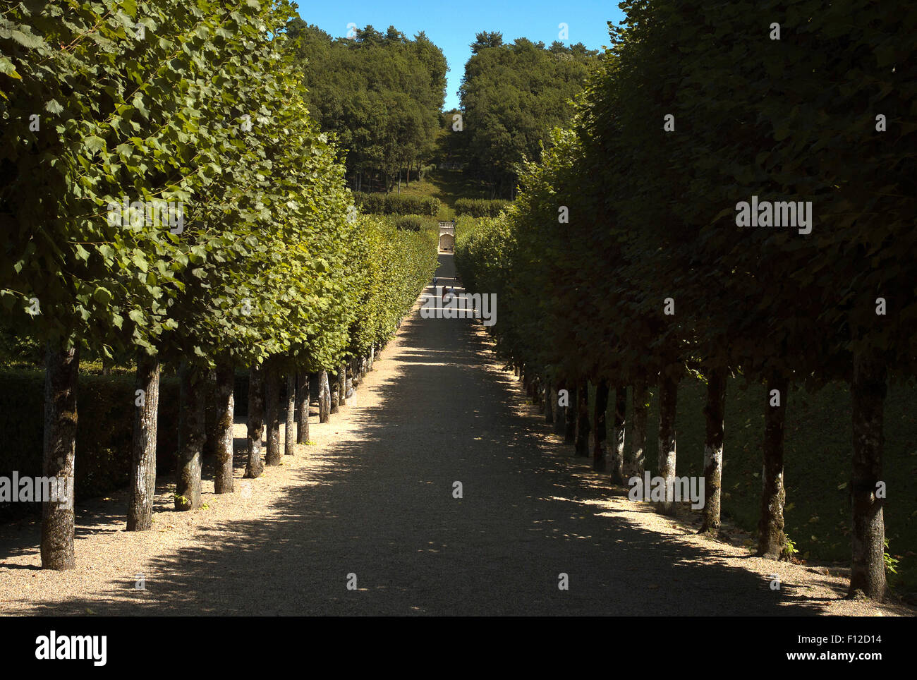 Gardens at Château de Villandry, Loire Valley, France Stock Photo - Alamy