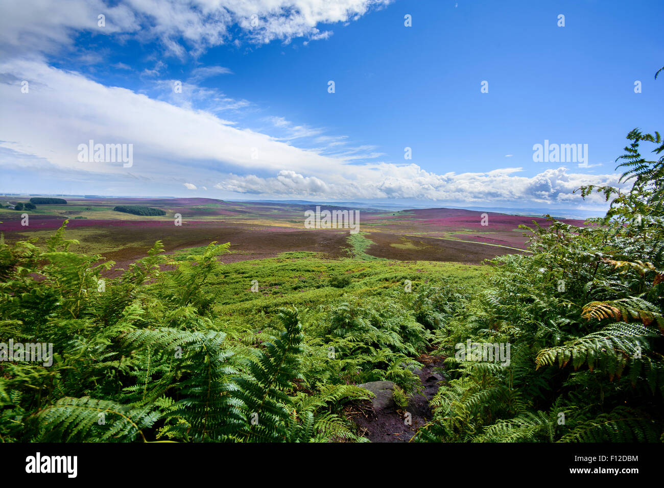 View from Ros Castle Stock Photo - Alamy