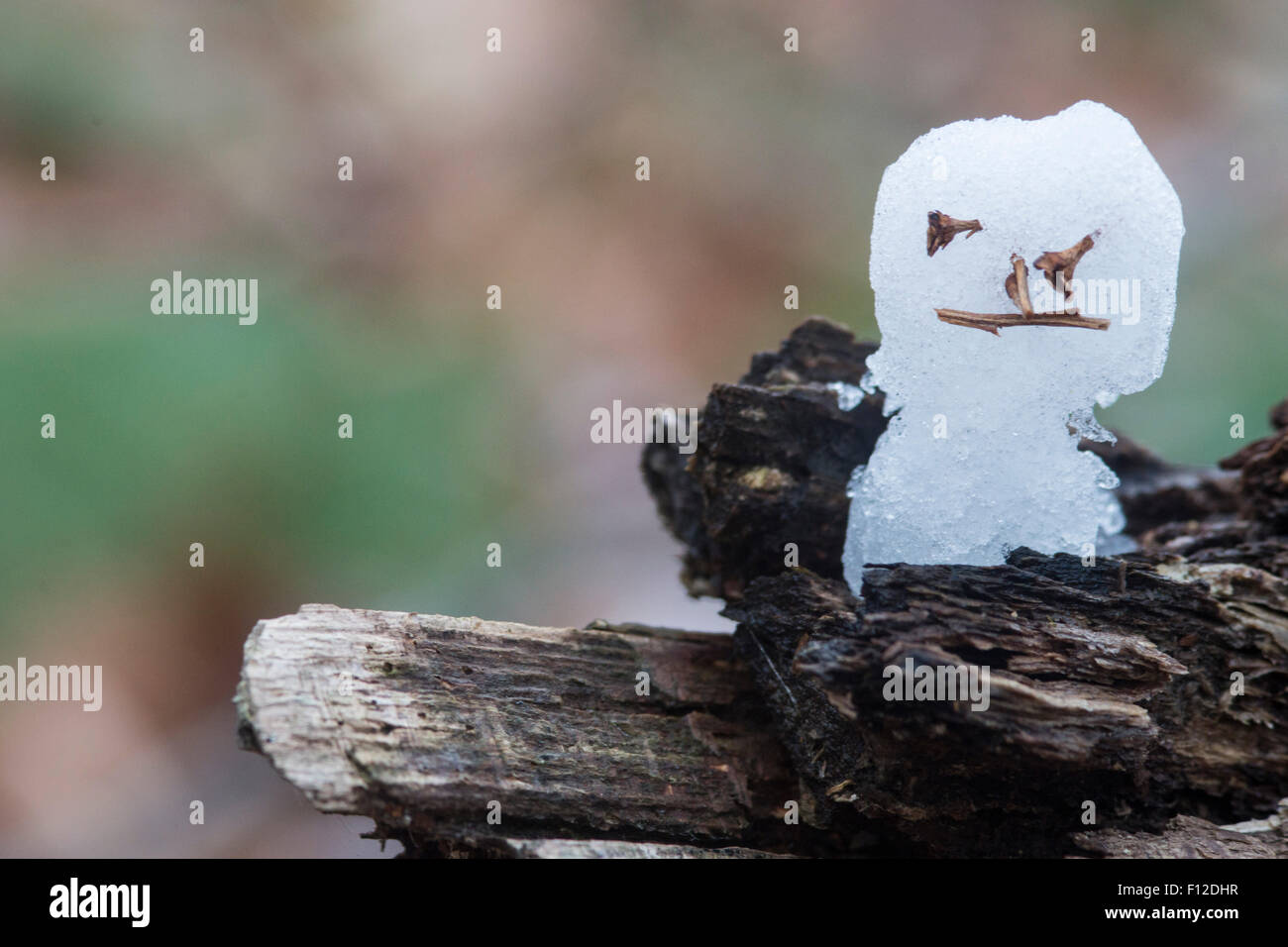 A tiny snowman on a branch Stock Photo - Alamy
