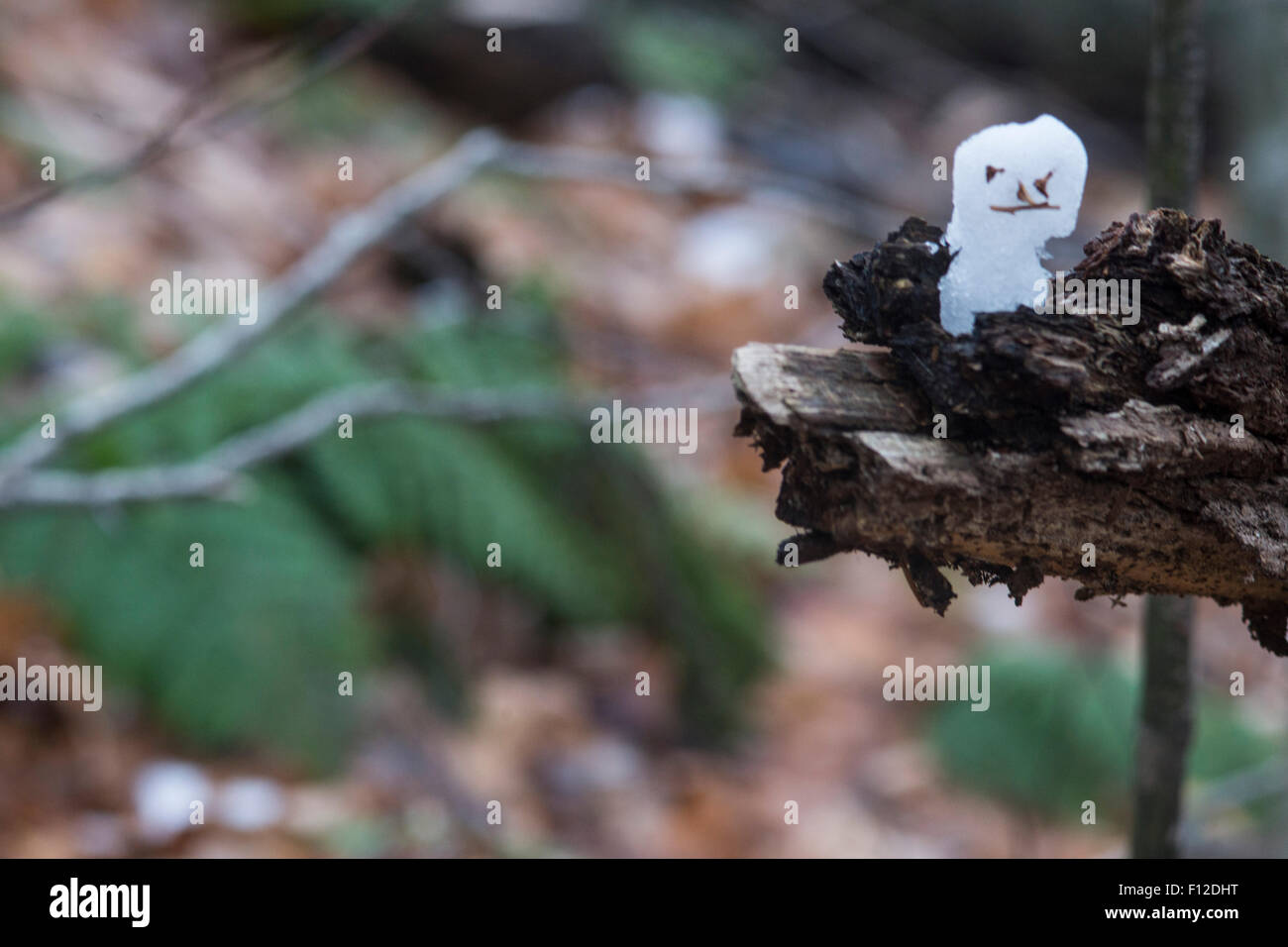 A tiny snowman on a branch Stock Photo - Alamy