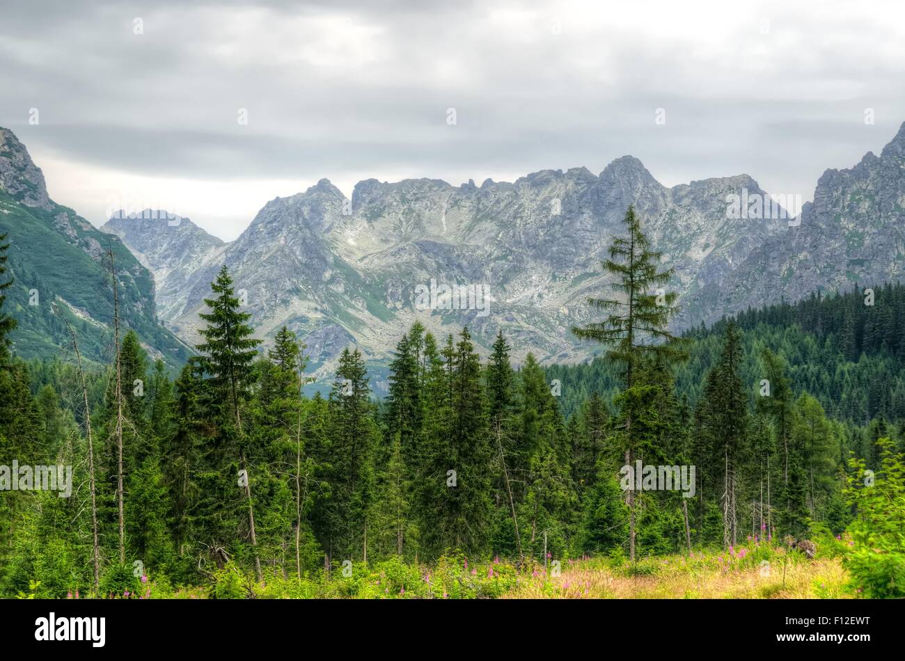 Mountain landscape. Picturesque view in Slovak Tatra Mountains in ...