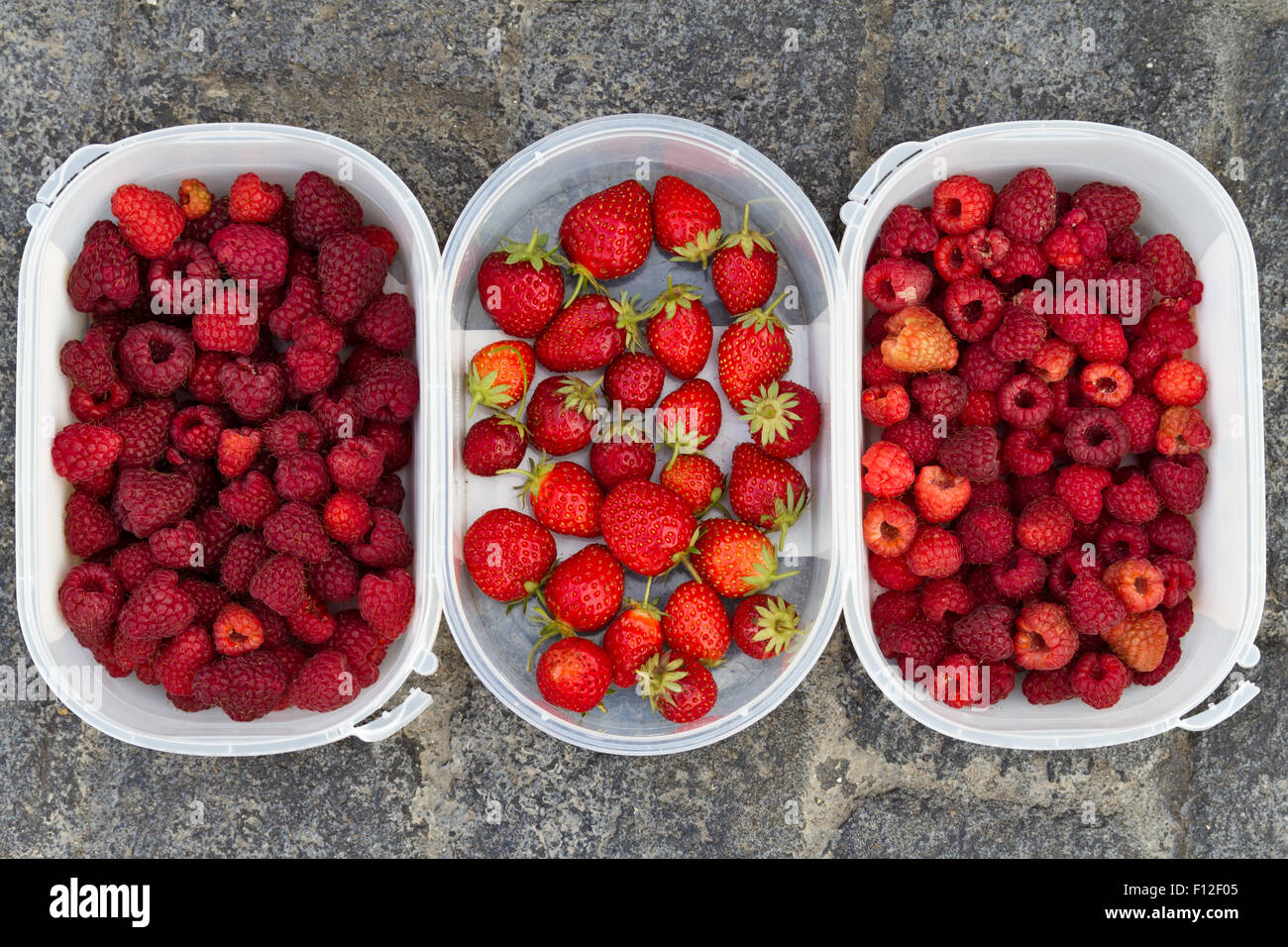 Picking wild raspberries hi-res stock photography and images - Alamy