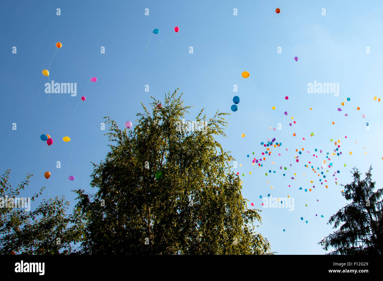 A lot of colored party balloons flying in the sky Stock Photo - Alamy