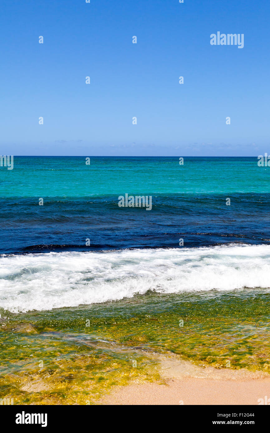 Vibrant tropical beach scene Stock Photo - Alamy