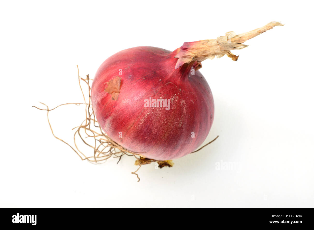 Onion roots hi-res stock photography and images - Alamy