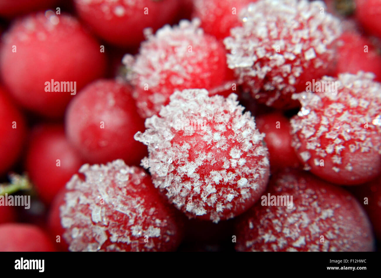 Frozen juices hi-res stock photography and images - Alamy