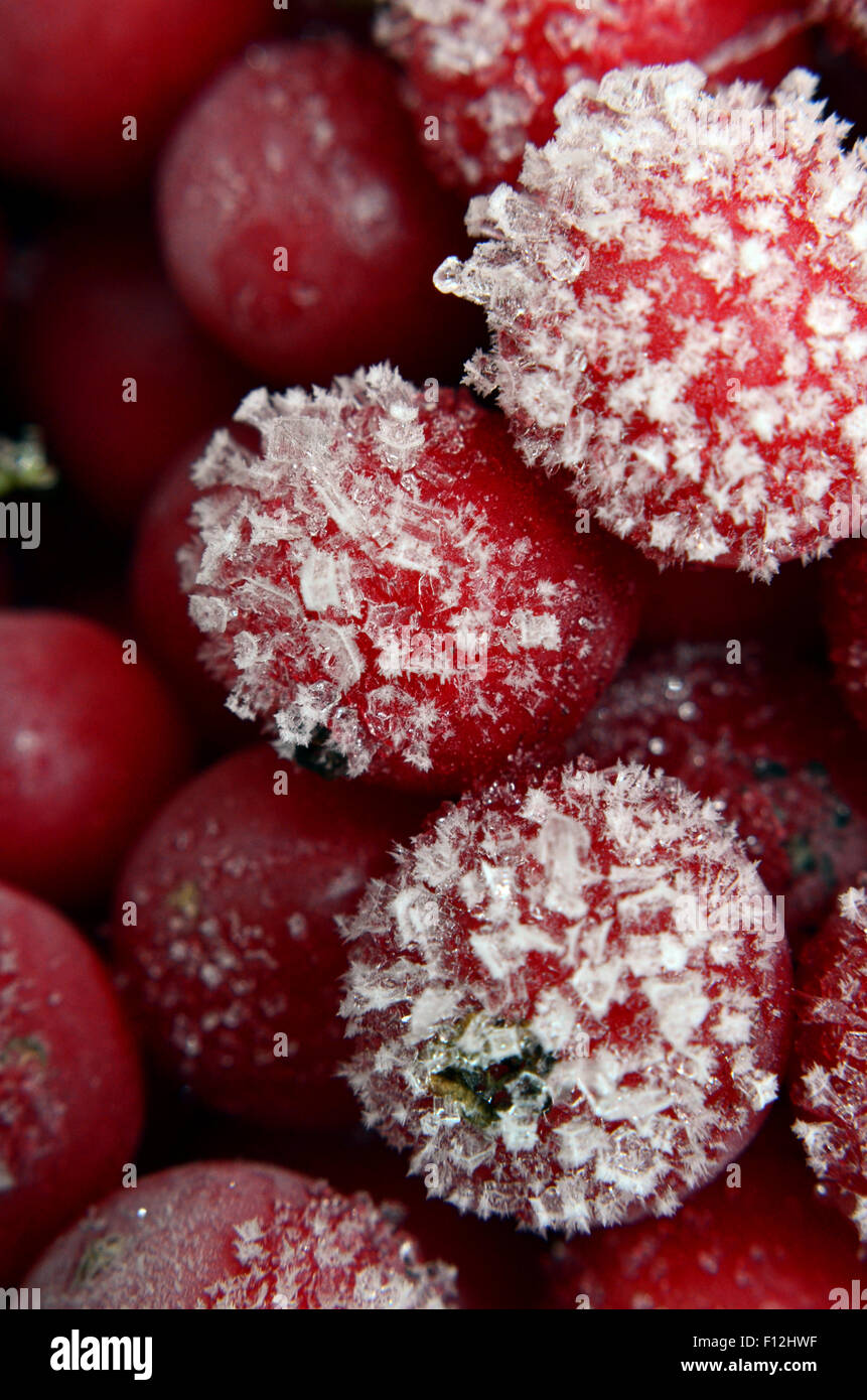 Frozen juices hi-res stock photography and images - Alamy