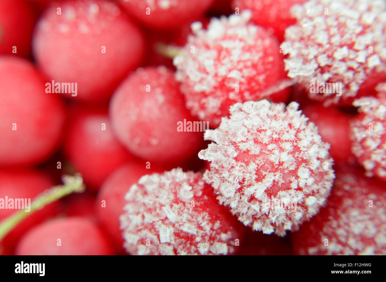Frozen fruit produce hi-res stock photography and images - Alamy