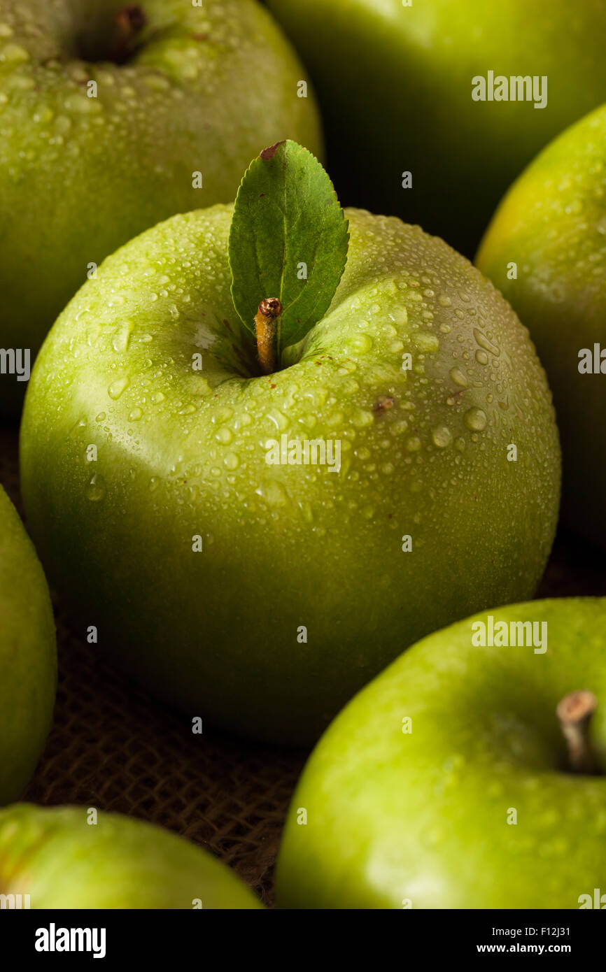 Organic Green Granny Smith Apple Ready to Eat Stock Photo - Alamy