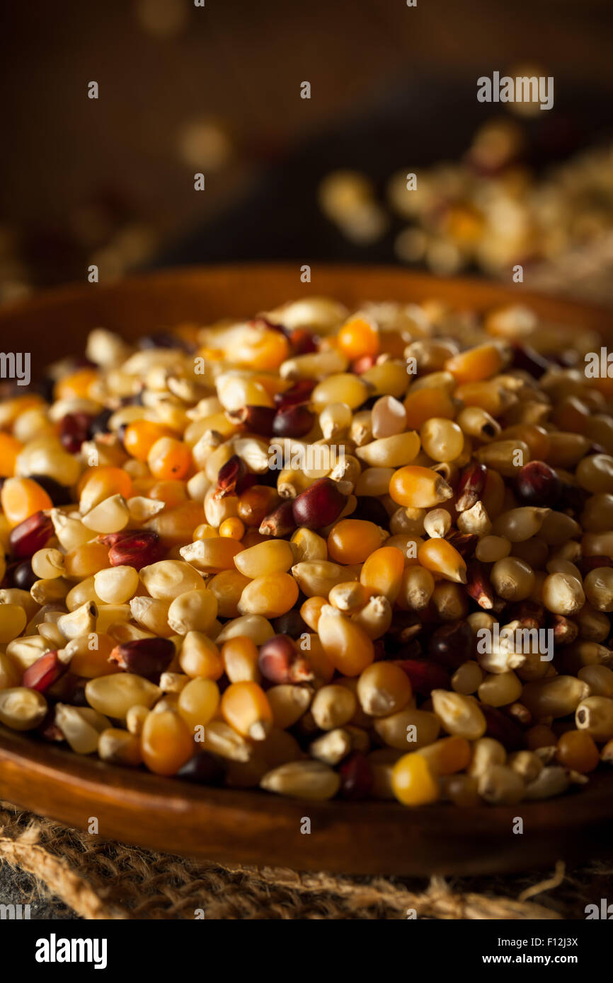 Raw Organic Multi Colored Calico Popcorn in a Bowl Stock Photo - Alamy