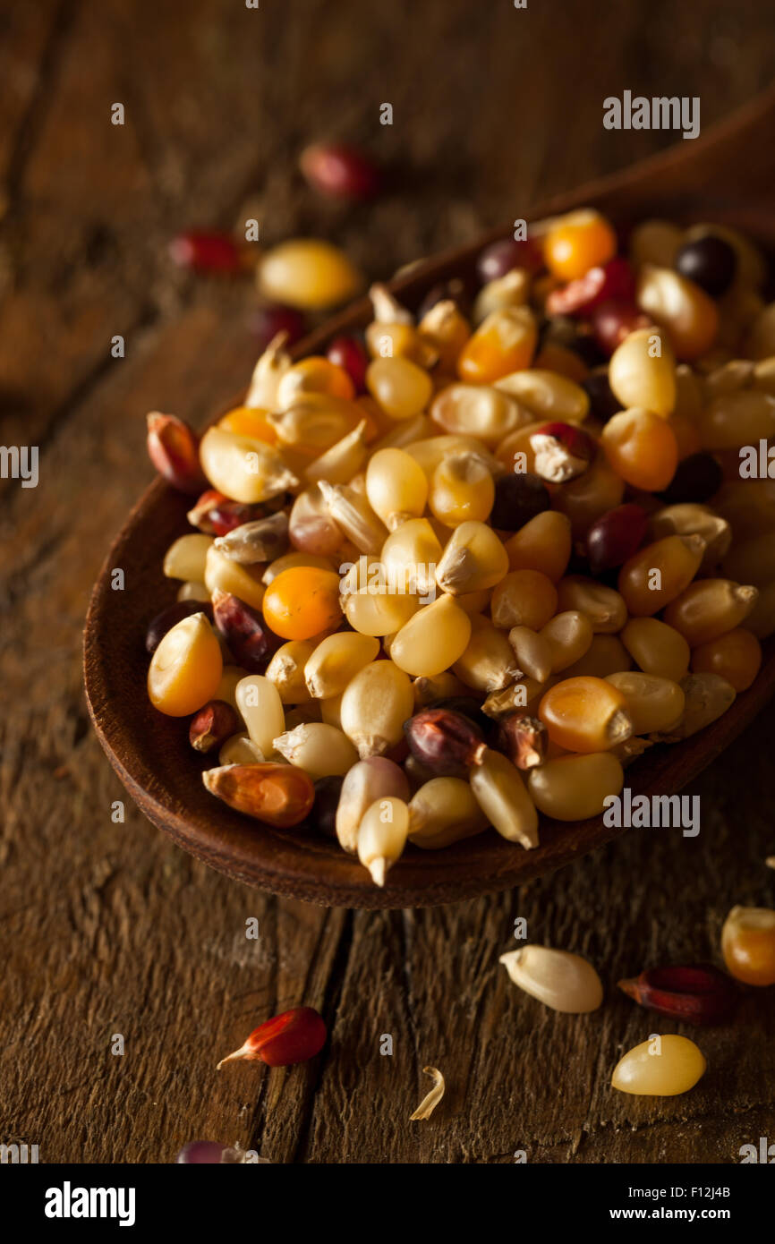 Raw Organic Multi Colored Calico Popcorn in a Bowl Stock Photo - Alamy