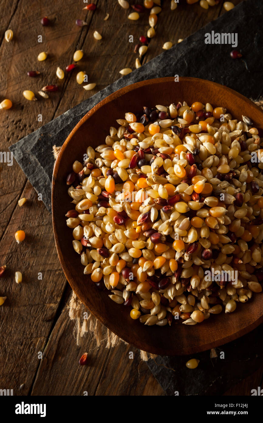 Raw Organic Multi Colored Calico Popcorn in a Bowl Stock Photo - Alamy