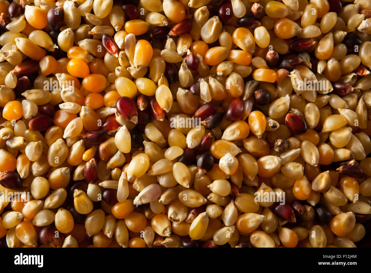 Raw Organic Multi Colored Calico Popcorn in a Bowl Stock Photo - Alamy