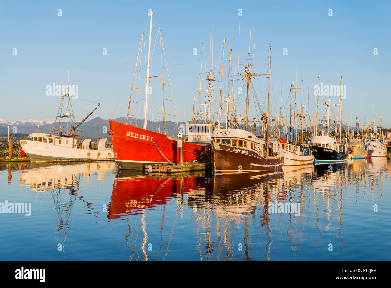 Fishing boats, Comox Harbour, Vancouver Island, British Columbia ...