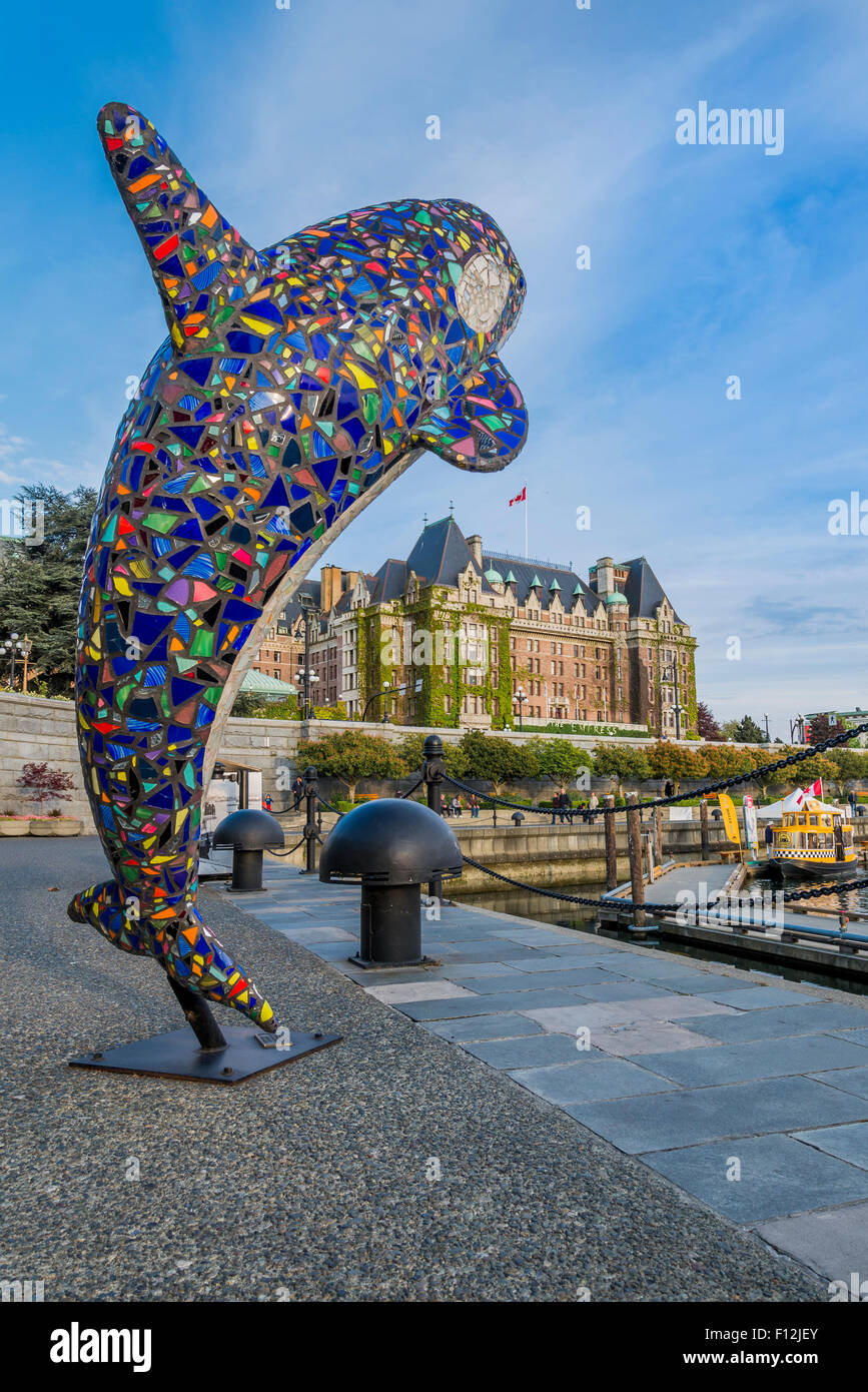 Victoria canada orca hi-res stock photography and images - Alamy