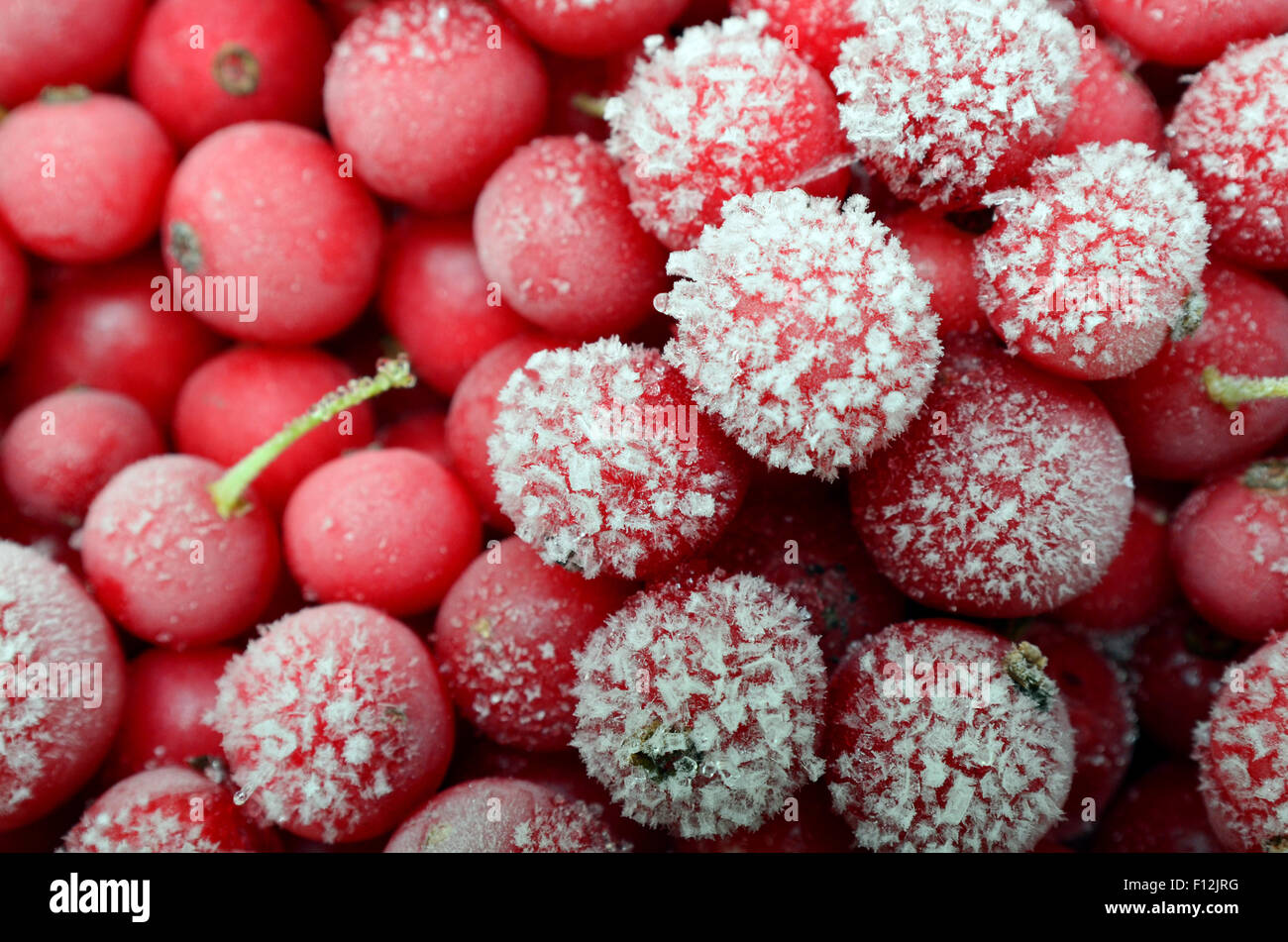 Frozen juices hi-res stock photography and images - Alamy