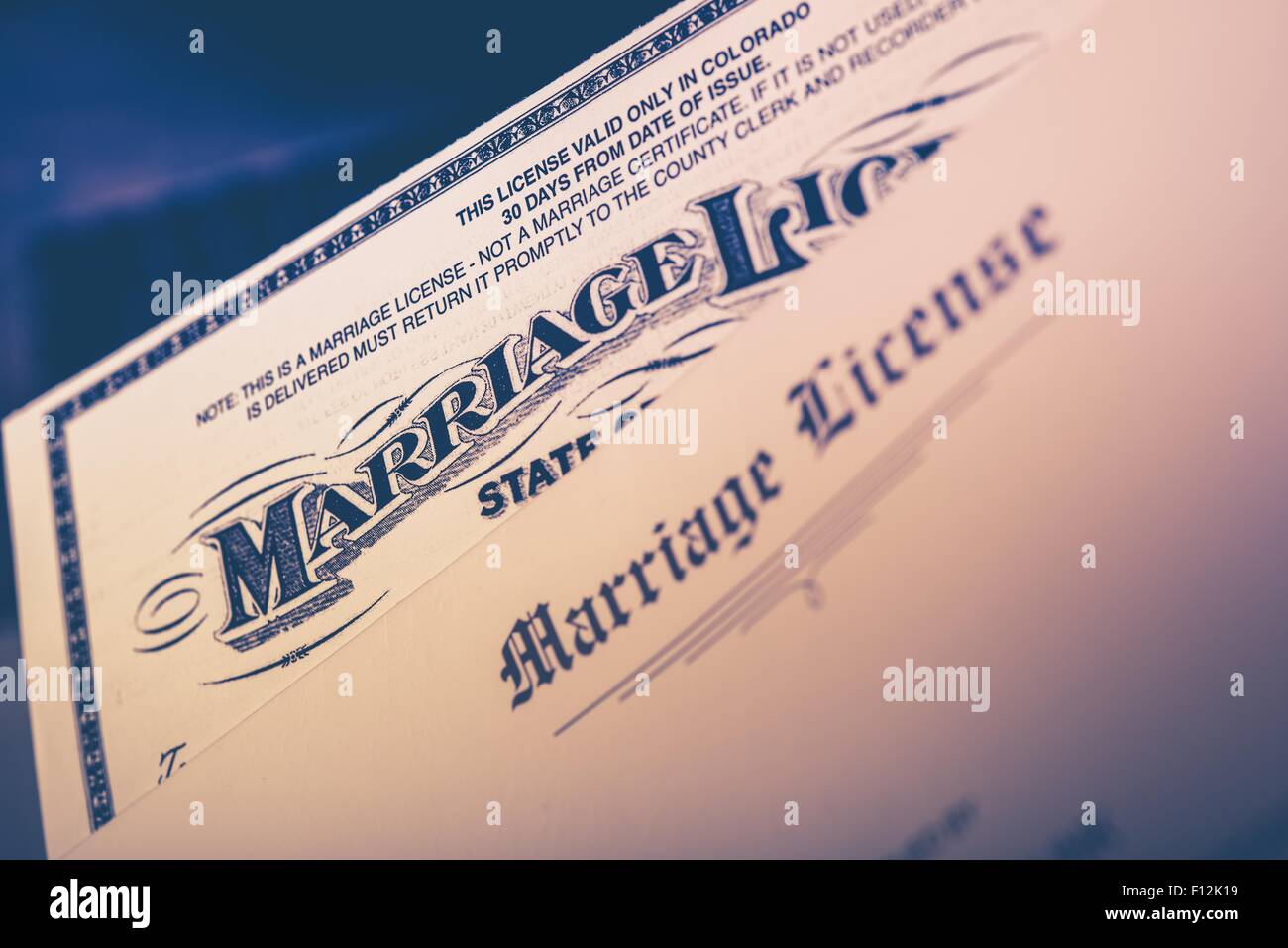 Marriage License Documents Closeup. United States Marriage License ...