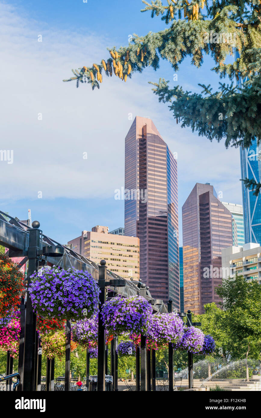 Suncor Energy Centre Towers, Calgary, Alberta, Canada Stock Photo - Alamy