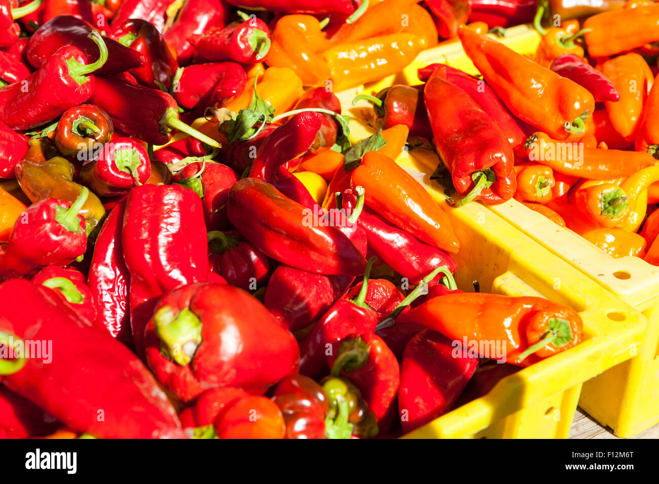 organic hot peppers, Farmers Market, Santa Barbara, California Stock ...