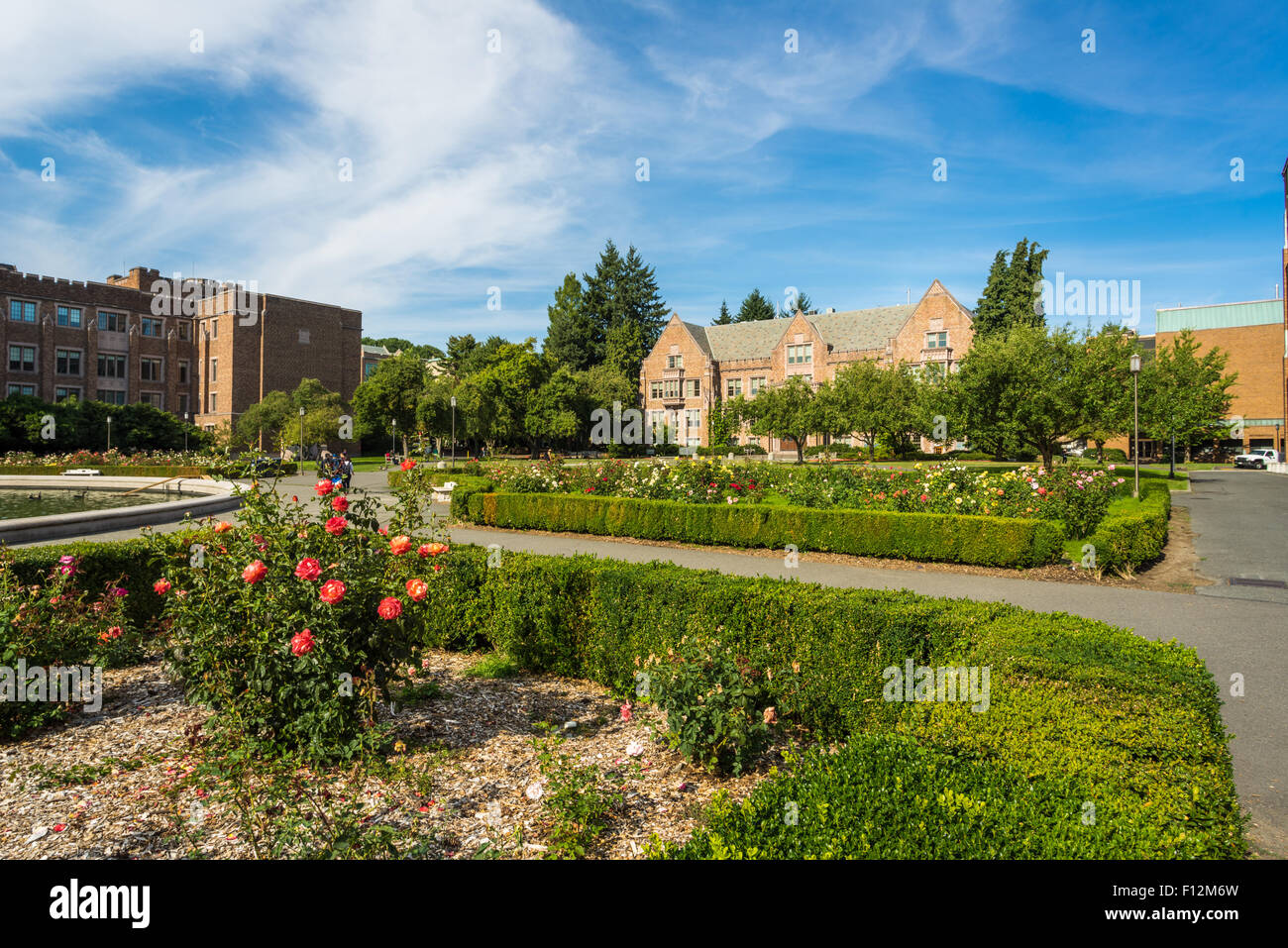 University of Washington campus, Seattle, WA Stock Photo - Alamy