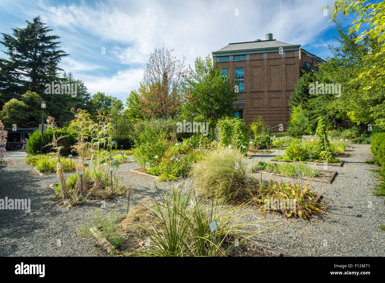 University of Washington campus, Seattle, WA Stock Photo - Alamy
