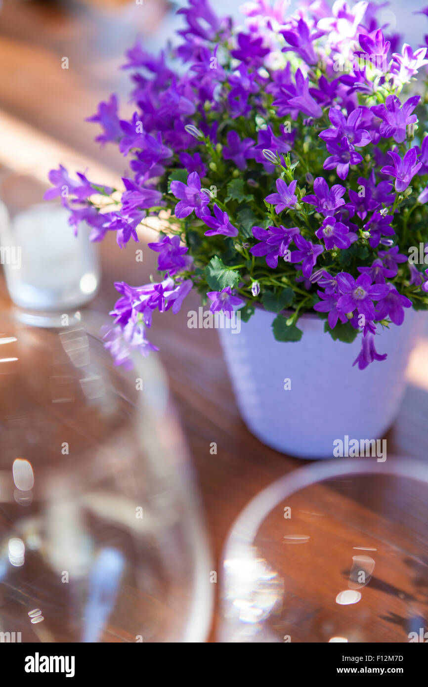 wine glasses are set out for a Members’ Dinner at Roblar Winery, Santa ...