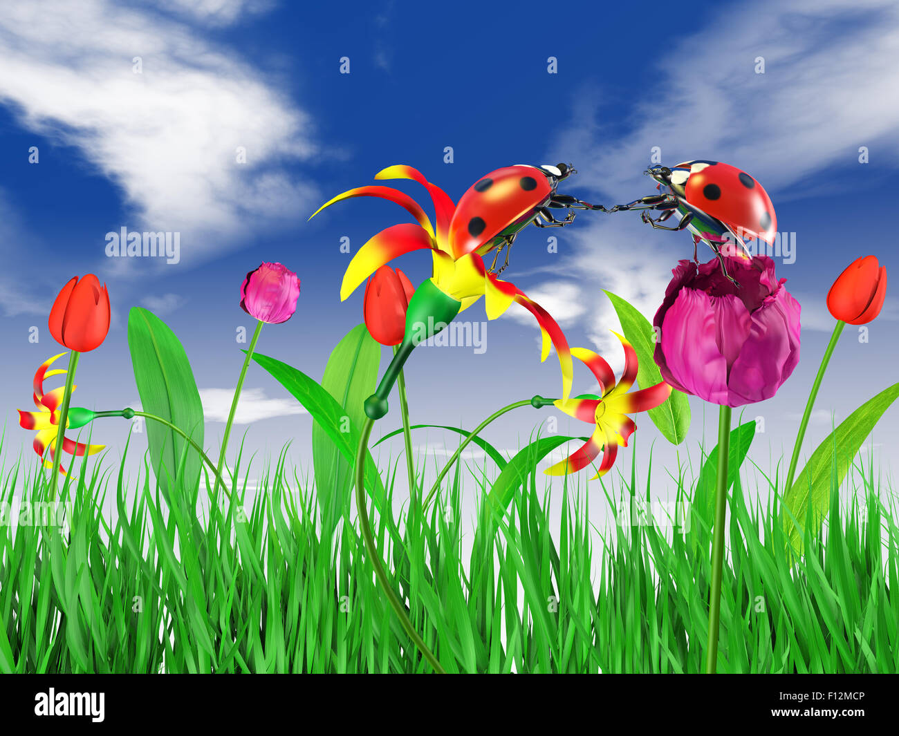 two ladybugs sitting on the flowers on the sky background Stock Photo ...