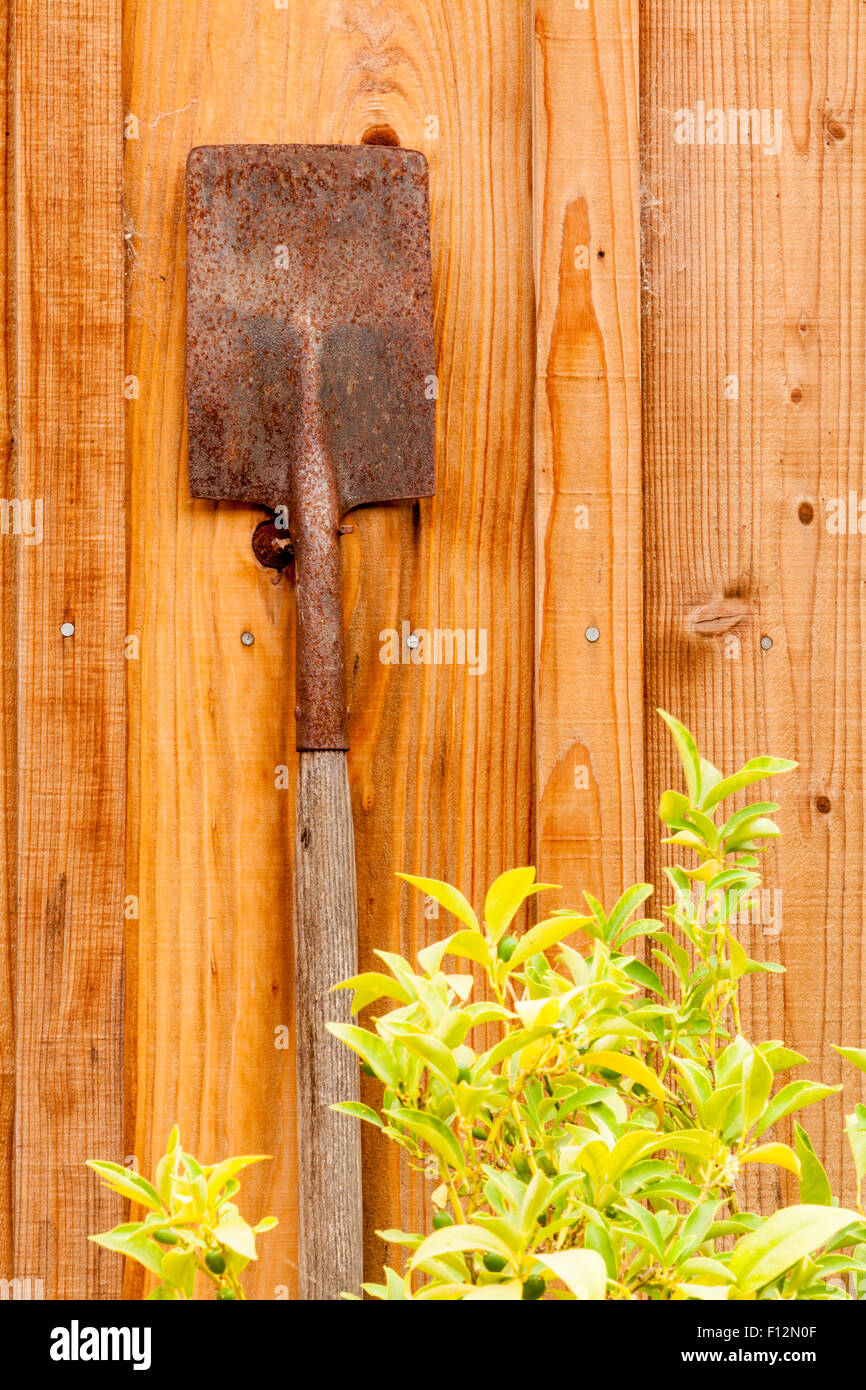 shovel used as decorative rural decor in front of Potting Shed, Roblar ...