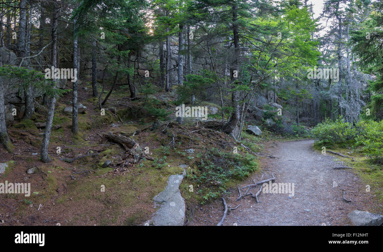 Wooded path hi-res stock photography and images - Alamy