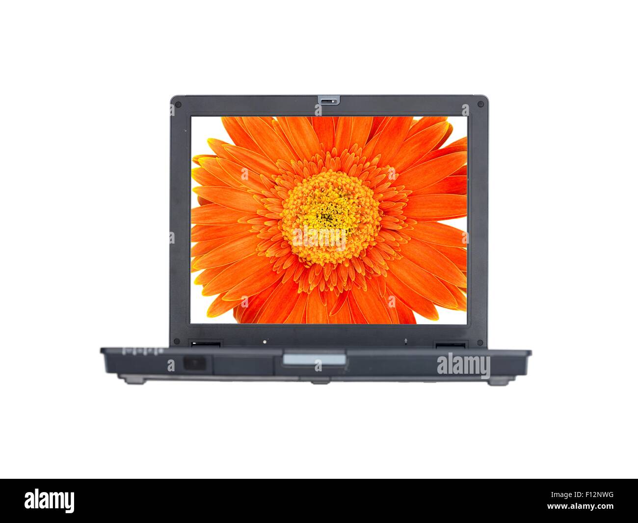 A close up shot of a open laptop Stock Photo - Alamy