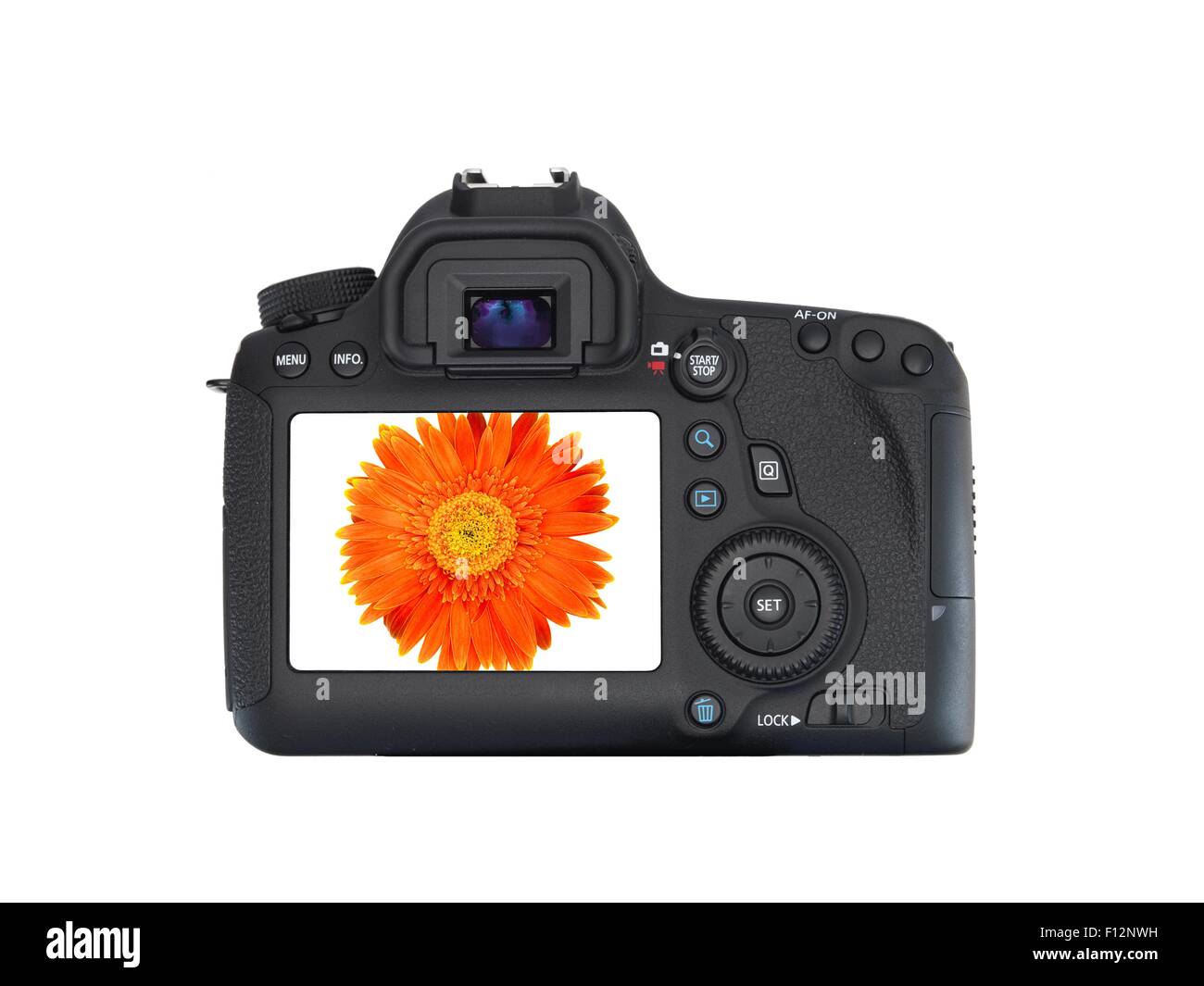 How to use a camera group with slr hi-res stock photography and images ...