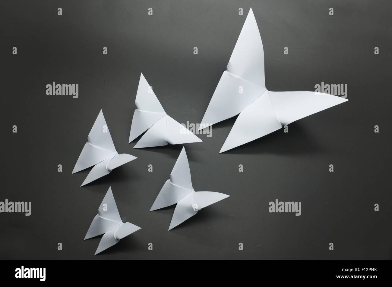 White paper butterfly hi-res stock photography and images - Alamy