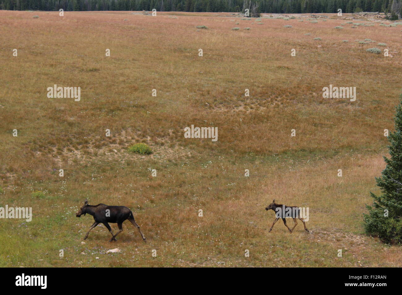 Young faith hi-res stock photography and images - Alamy