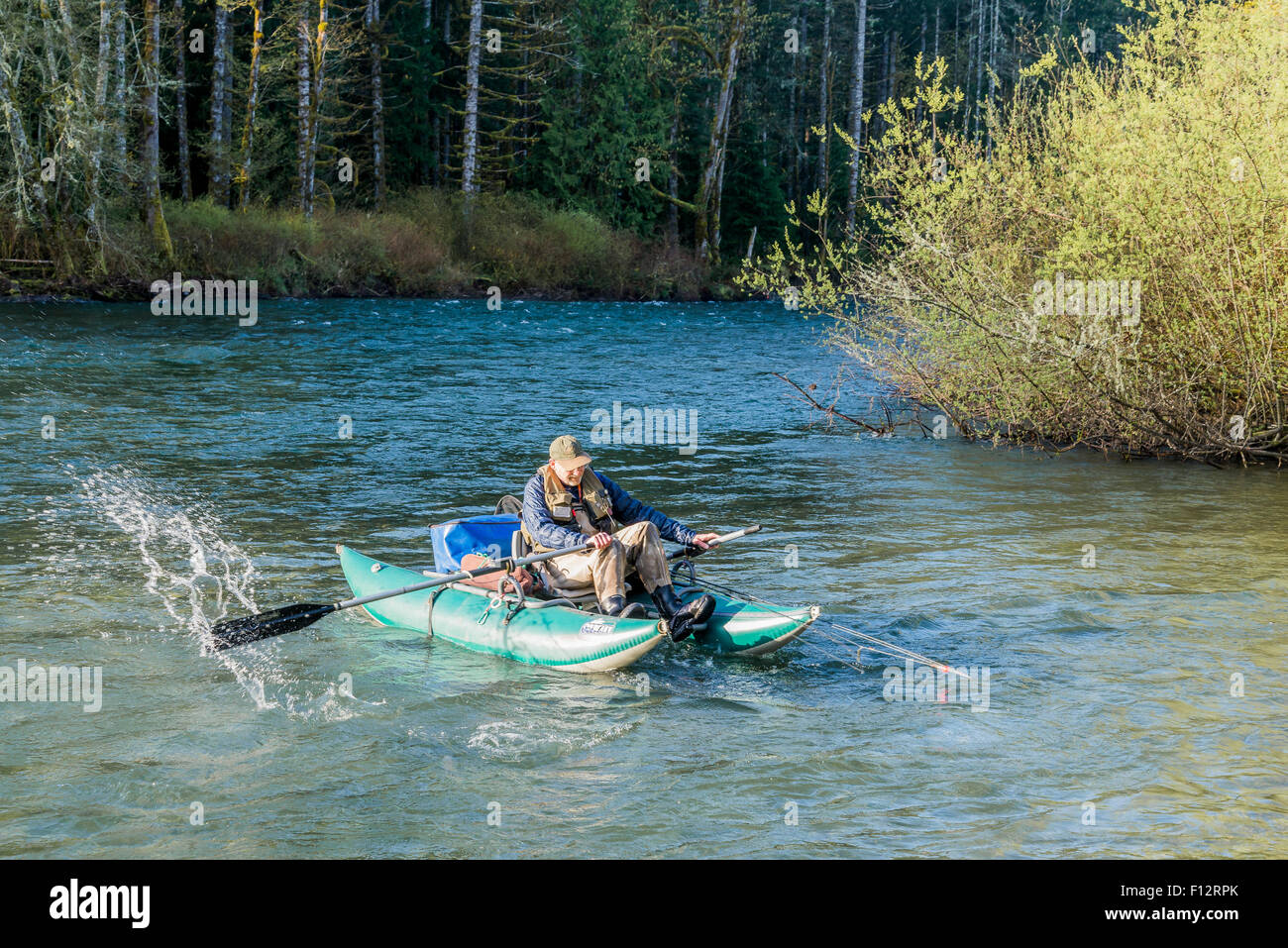 Cowichan river provincial park hi-res stock photography and images - Alamy