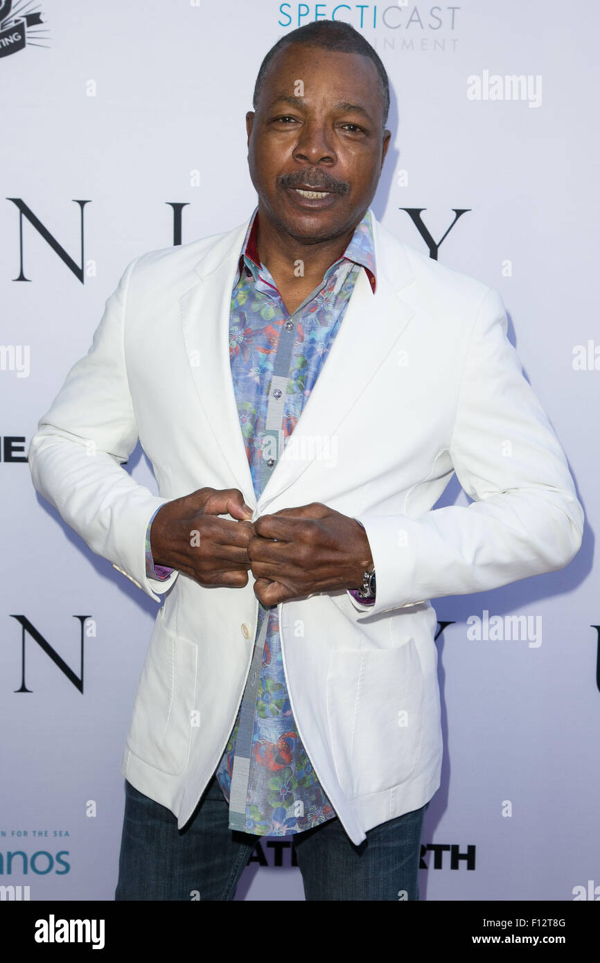 Celebrities attend the World Premiere screening for documentary "Unity ...